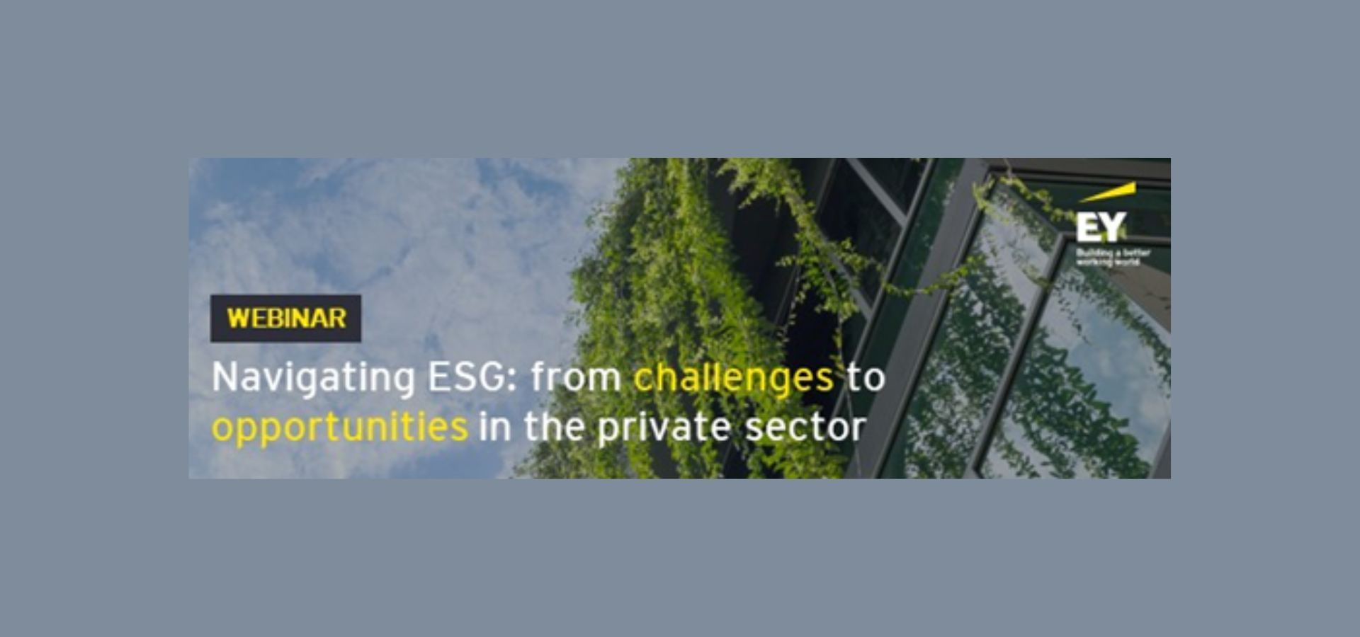 EY Canada | Navigating ESG: from challenges to opportunities in the private sector | London ...